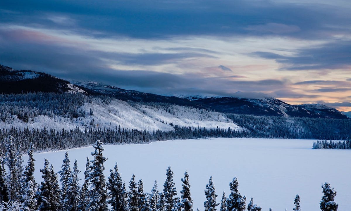 Yukon. Onset of snowfall. Cold and darkness… | by NathenMuckatira | Medium