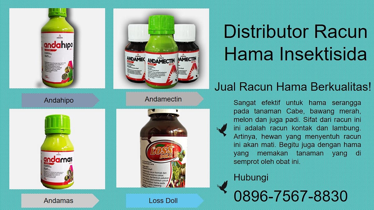 Distributor Racun Hama Tanaman Insektisida Di Solo | by ...