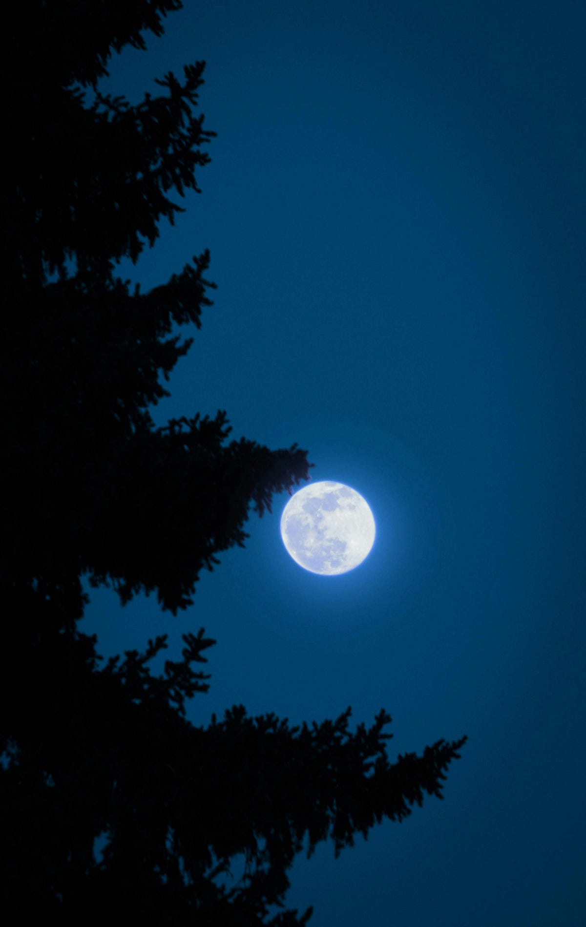 The Blue Moon Baby. Mary has a strange dream | by Henry Dougal | Agency ...