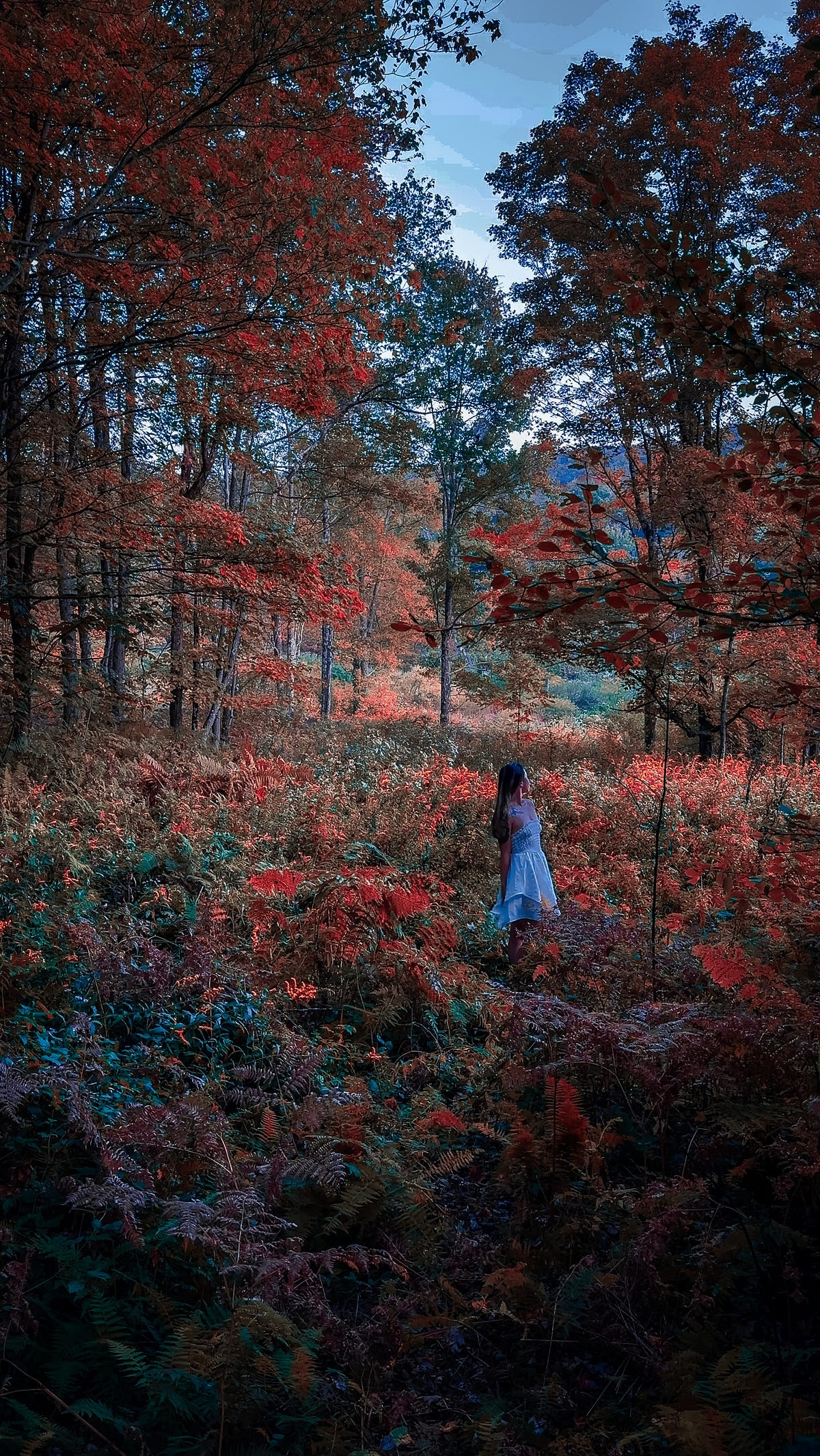 The last leaf. It’s windy outside. | by Mara Xi | Medium