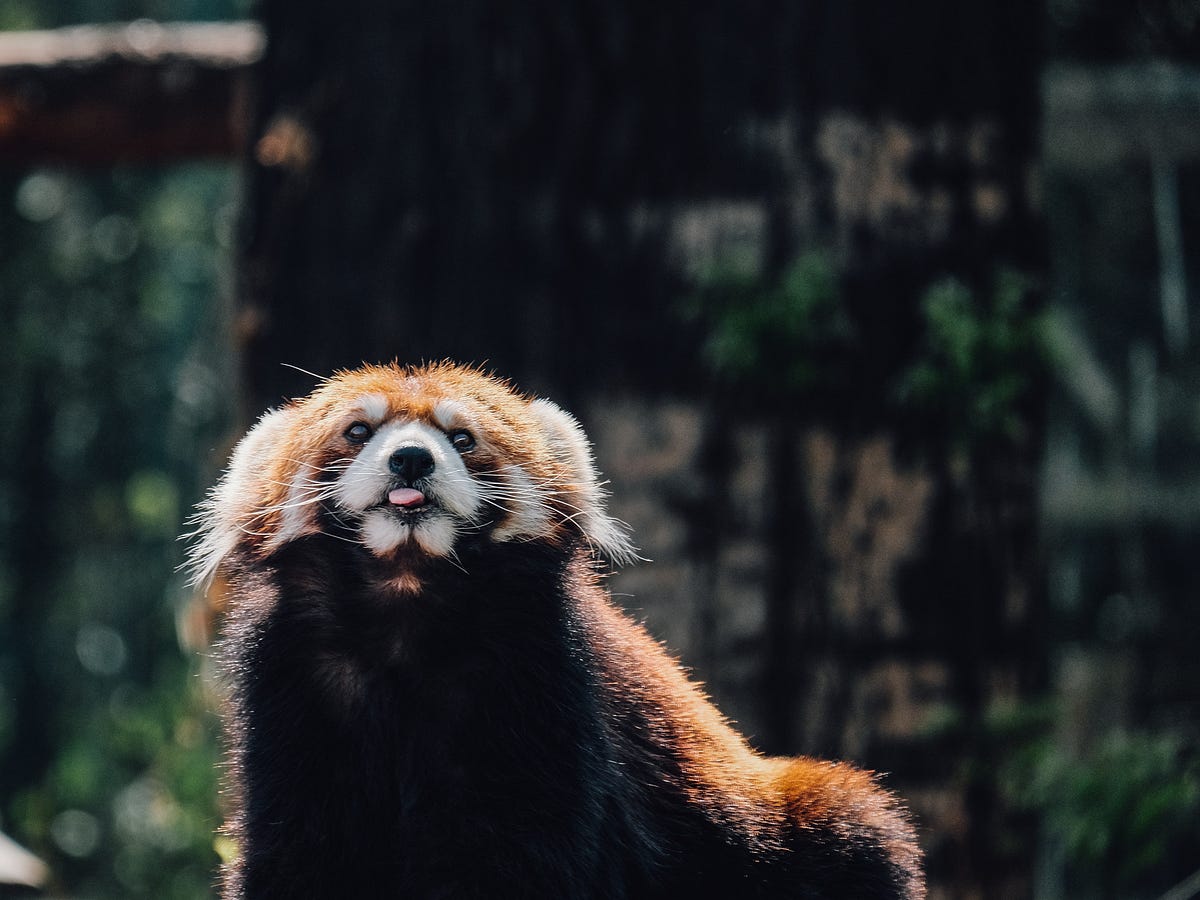 Mastering Pandas DataFrames: Working with Time-Series Data Join ... Mastering Pandas DataFrames: Working with Time-Series Data Join ...