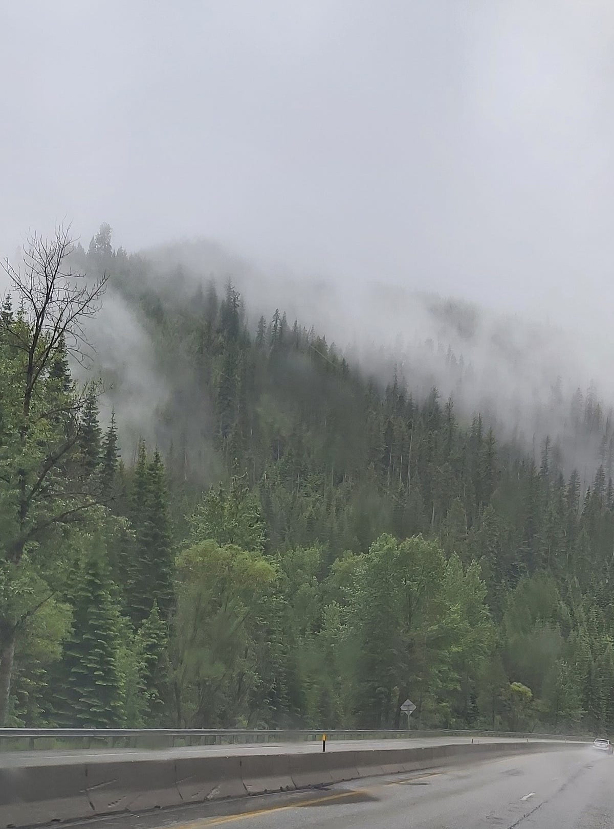 Day 14–16. Keep read and you will know why few… | by Tali Levi | Medium