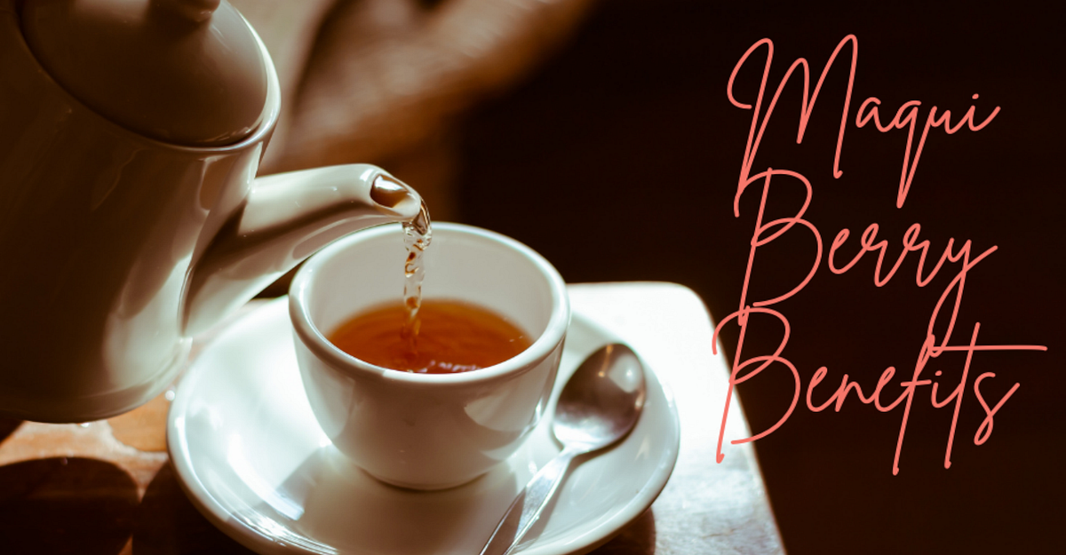 Maqui Berry ~Top Health Benefits You Need to Know | by Toni Slate | Aug ...
