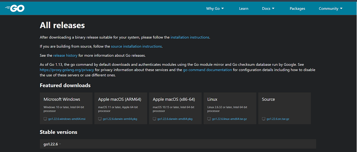 Getting Started with Go: A Beginner’s Guide to Setting Up Your Go Environment | by ...