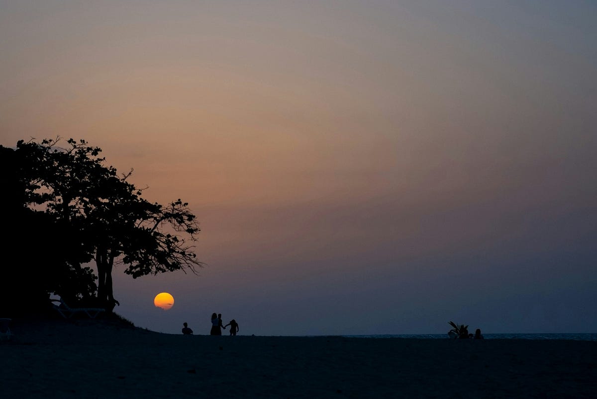 The Human Family Tree: Roots Connect Us All | by Dylan Raines | Medium
