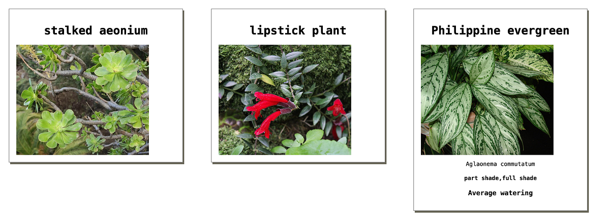 ‘Let’s Learn About Plants’ app: Challenges while coding and how it ...