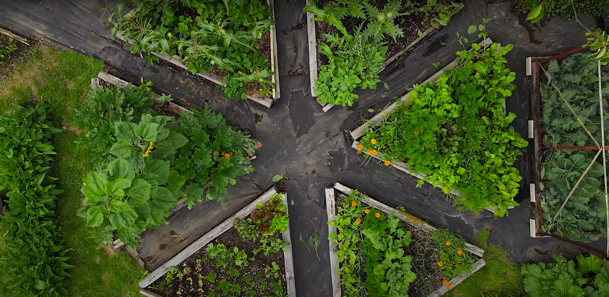 Proposal: Permaculture Park — A Model | by Denise Ward | Medium