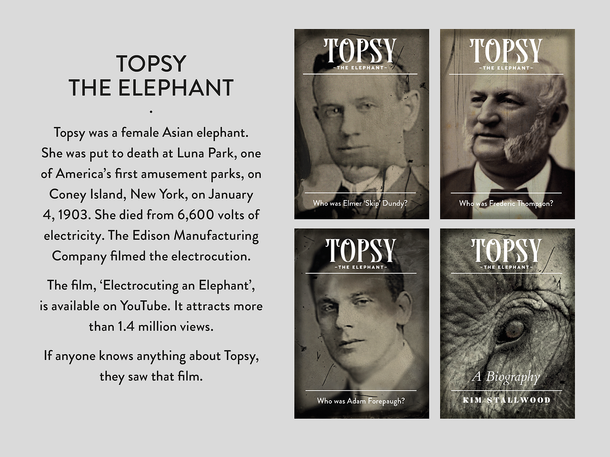 Tackling Topsy. A case study in design, ethics and questionable content ...