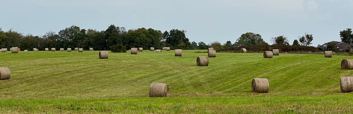 Title: “The Essence of Hay Bales: Finding Beauty in Simplicity” | by ...