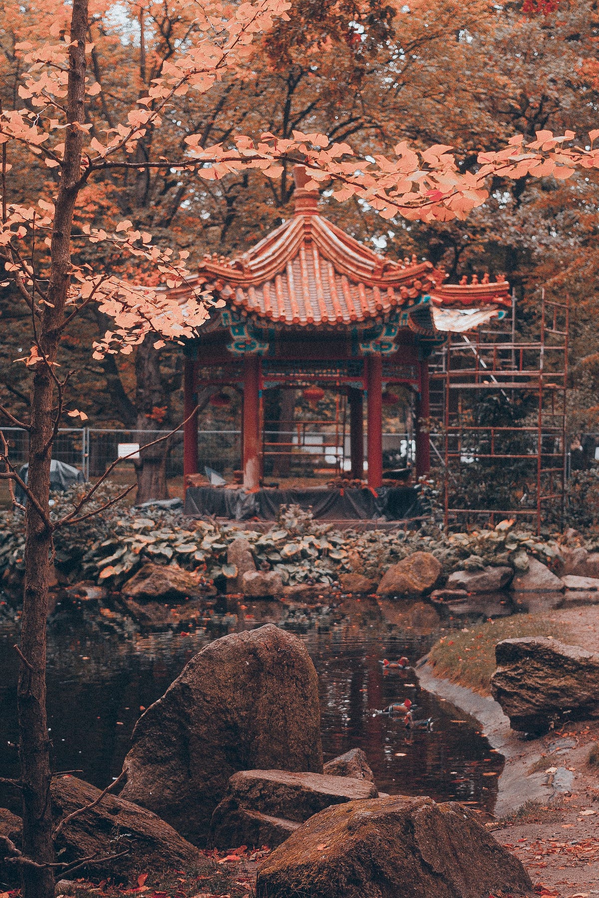 What the Metal Element in Chinese Medicine Says About Autumn | by ...