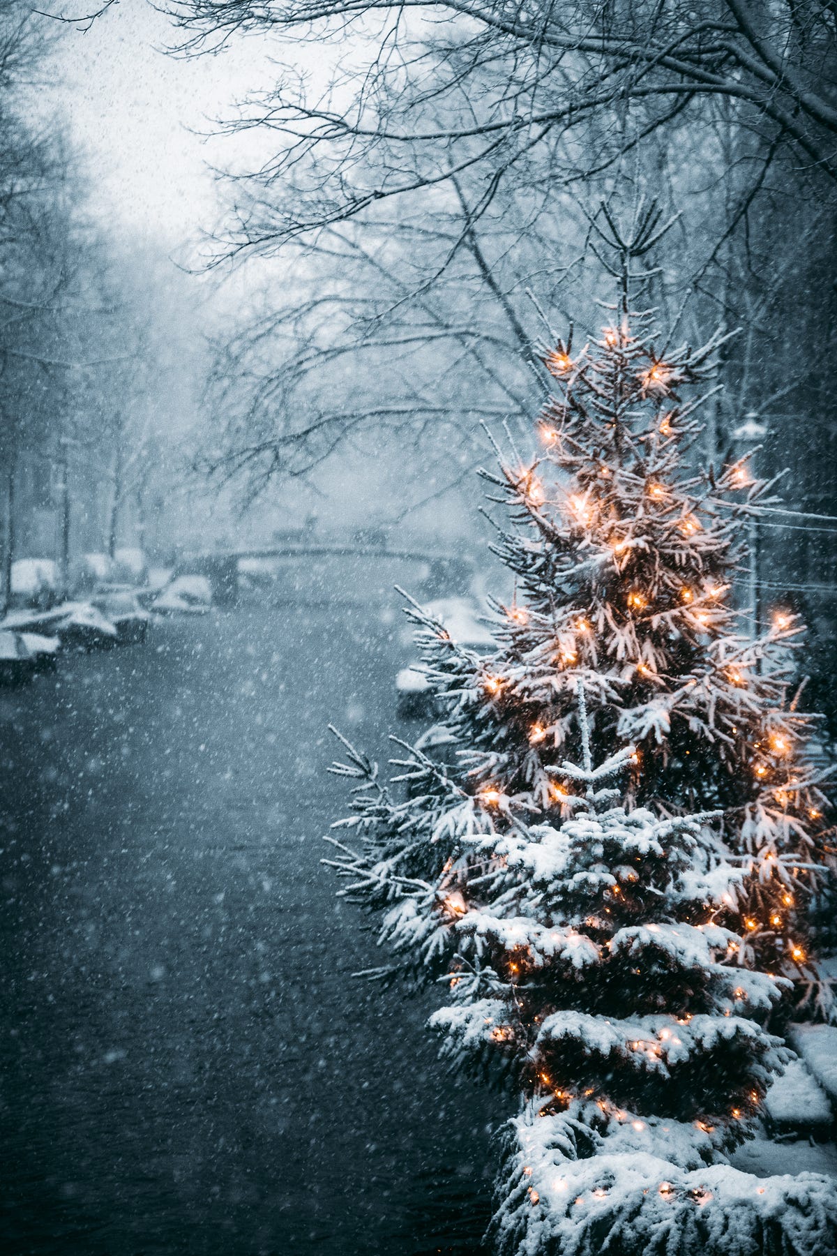 What To Do if You're Not Feeling the Holiday Spirit | The Christmas Pub