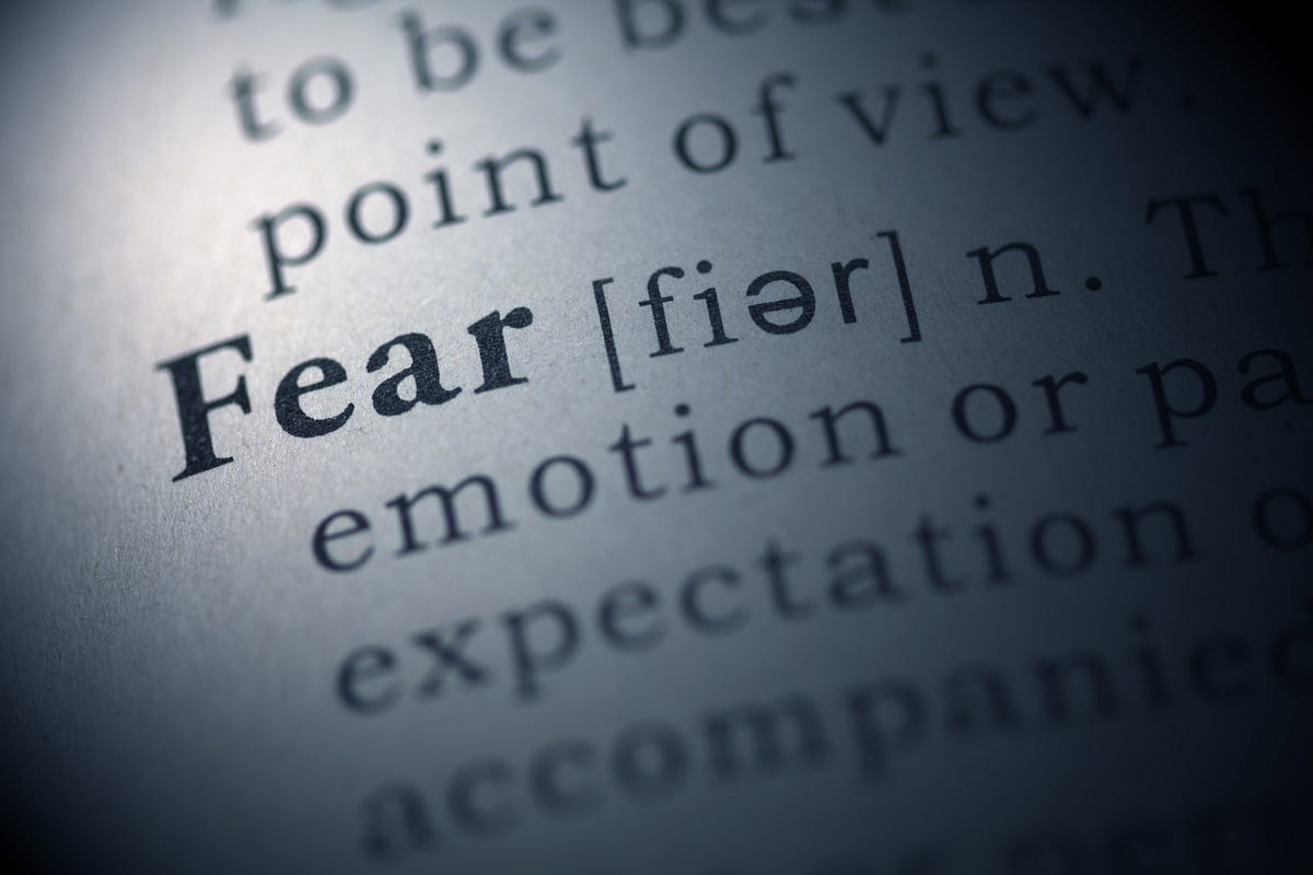 Fear is only fear. Many people say that fear is stopping… | by Niels ...
