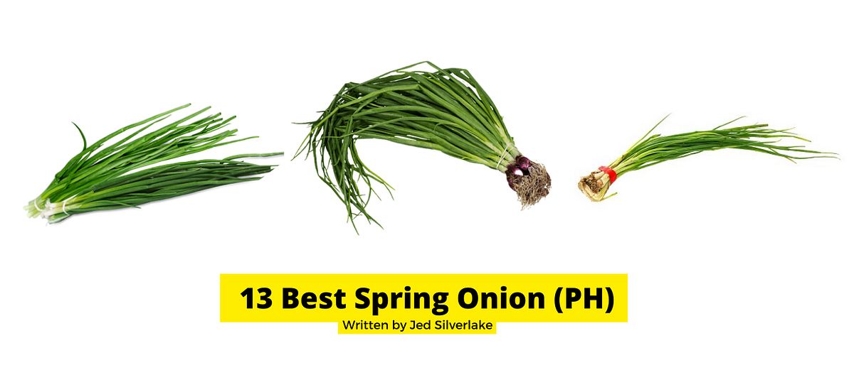 13 Best Spring Onion Scallion Philippines 2022 (w/ Free Discount) | by ...