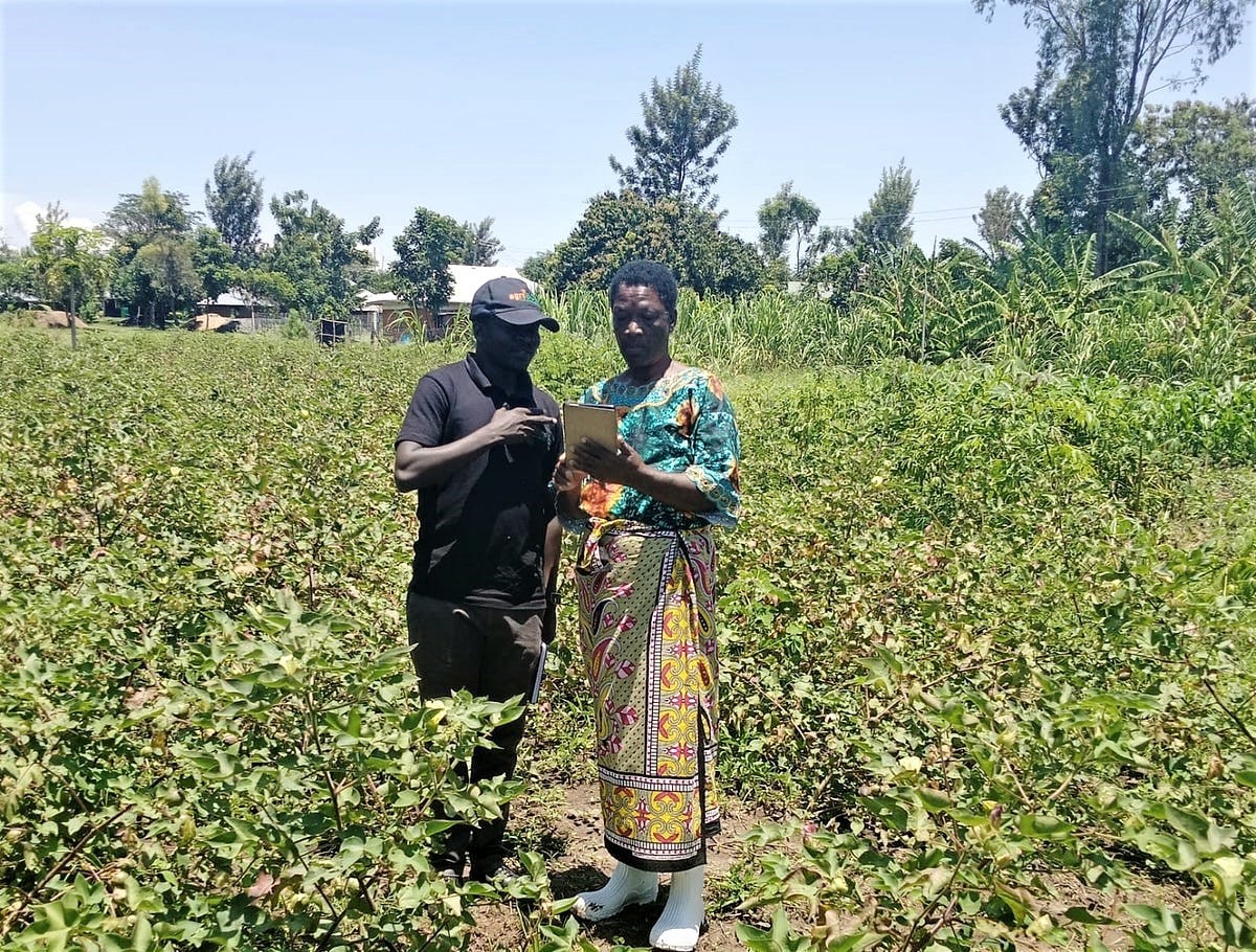Fighting hunger from space: 3 innovative start-ups using AI and Earth ...