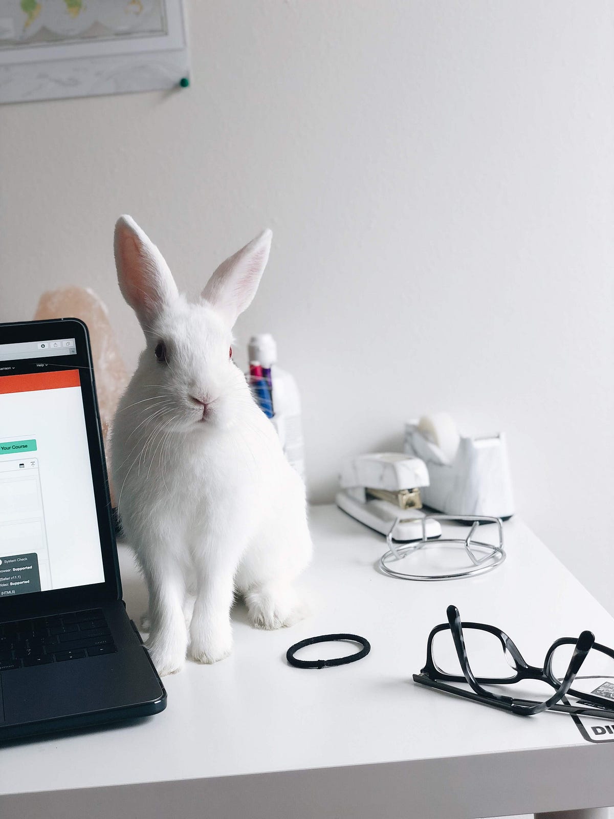 Go RabbitMQ tutorial walkthrough. Hello, folks! | by Sergei Stadnik | Medium
