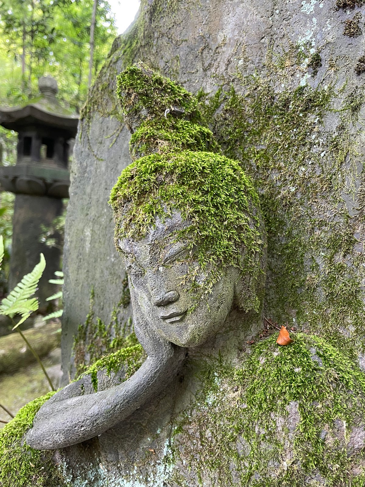 Justice, Courage, Why We Live. Looks like I’m going on a philosophical ...