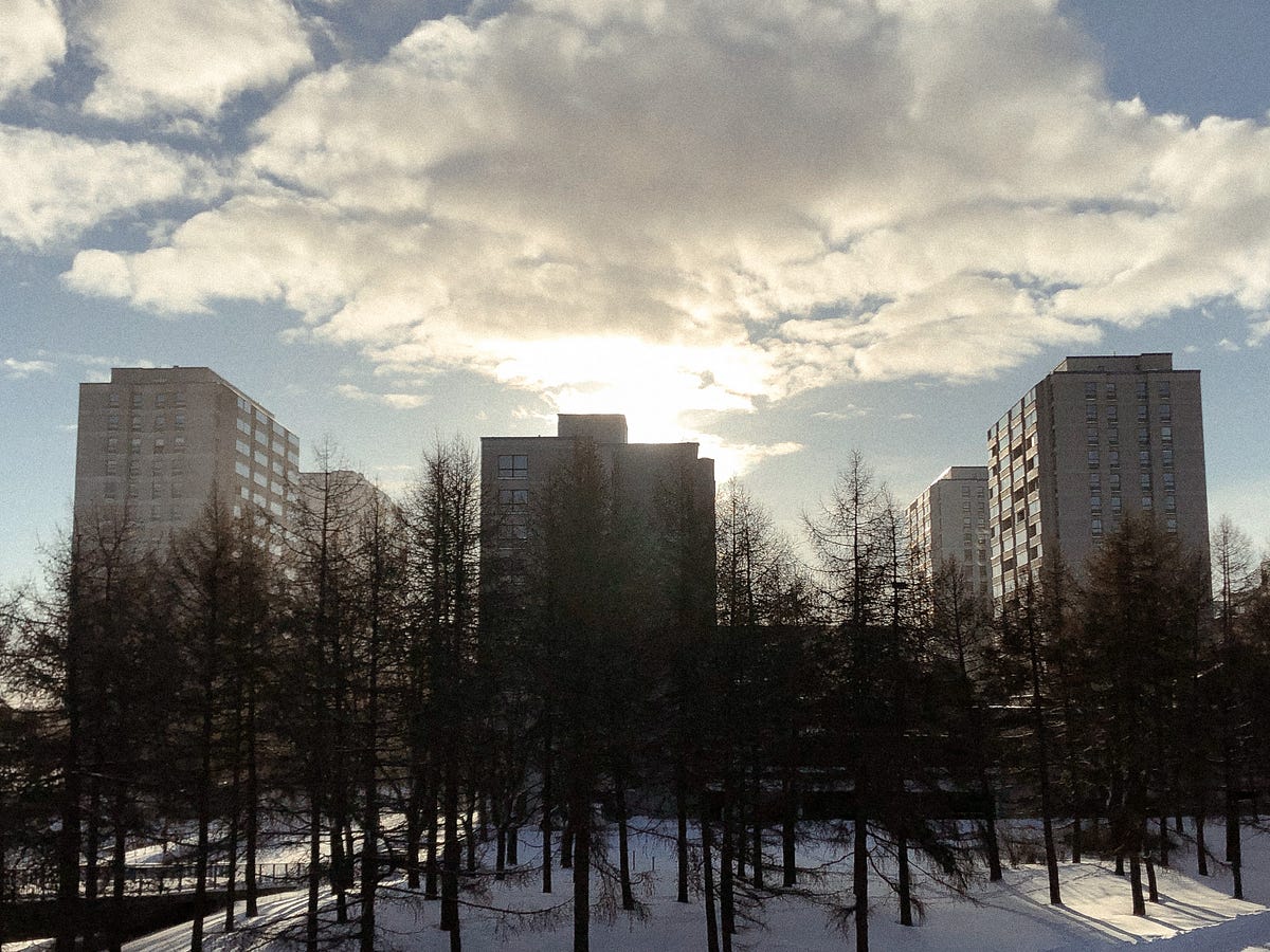 Is Merihaka secretly the best place to live in Helsinki? | by Venla ...