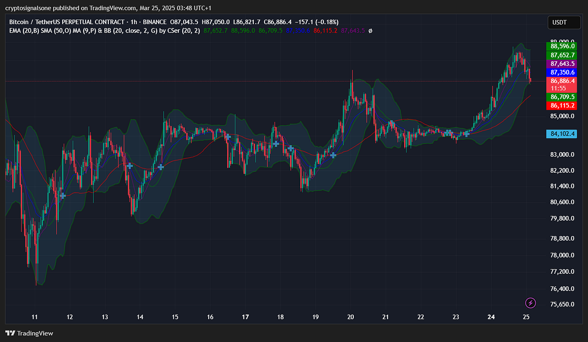 Bitcoin (BTC/USDT) 1-Hour Chart: What Could Happen Next Today? | by ...