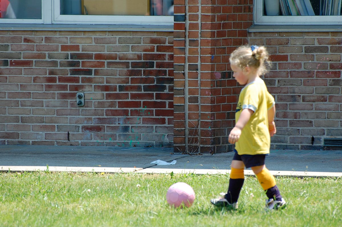 The Big Field. where the basics will mean success | by Keith Bossey ...