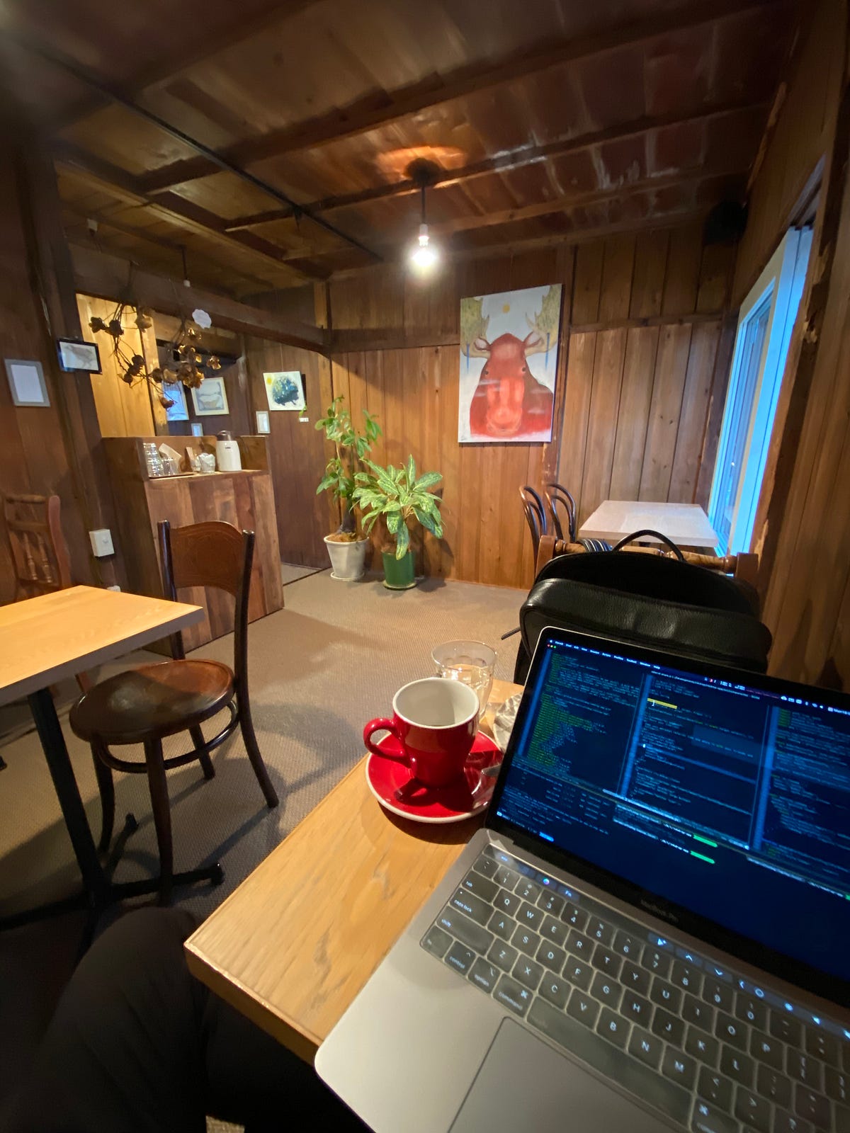Digital nomad in Okinawa to escape from cedar pollen and Coronavirus ...