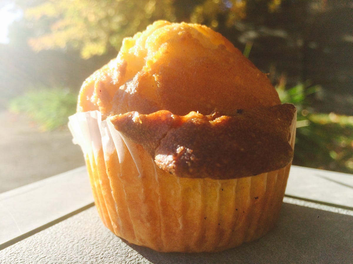 The Muffin Script. ‘“The Muffin Script” excerpted from… | by Mike Gaito ...
