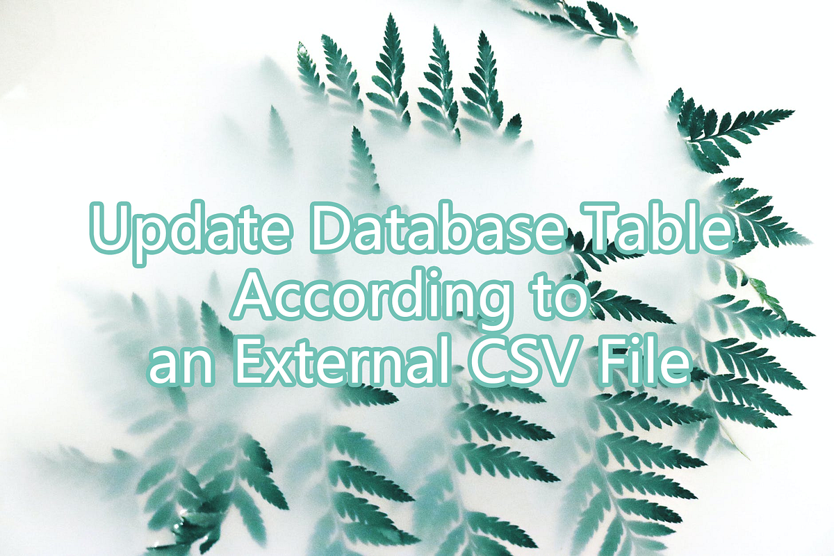 Update Database Table According to an External CSV File | by chuxin huo ...