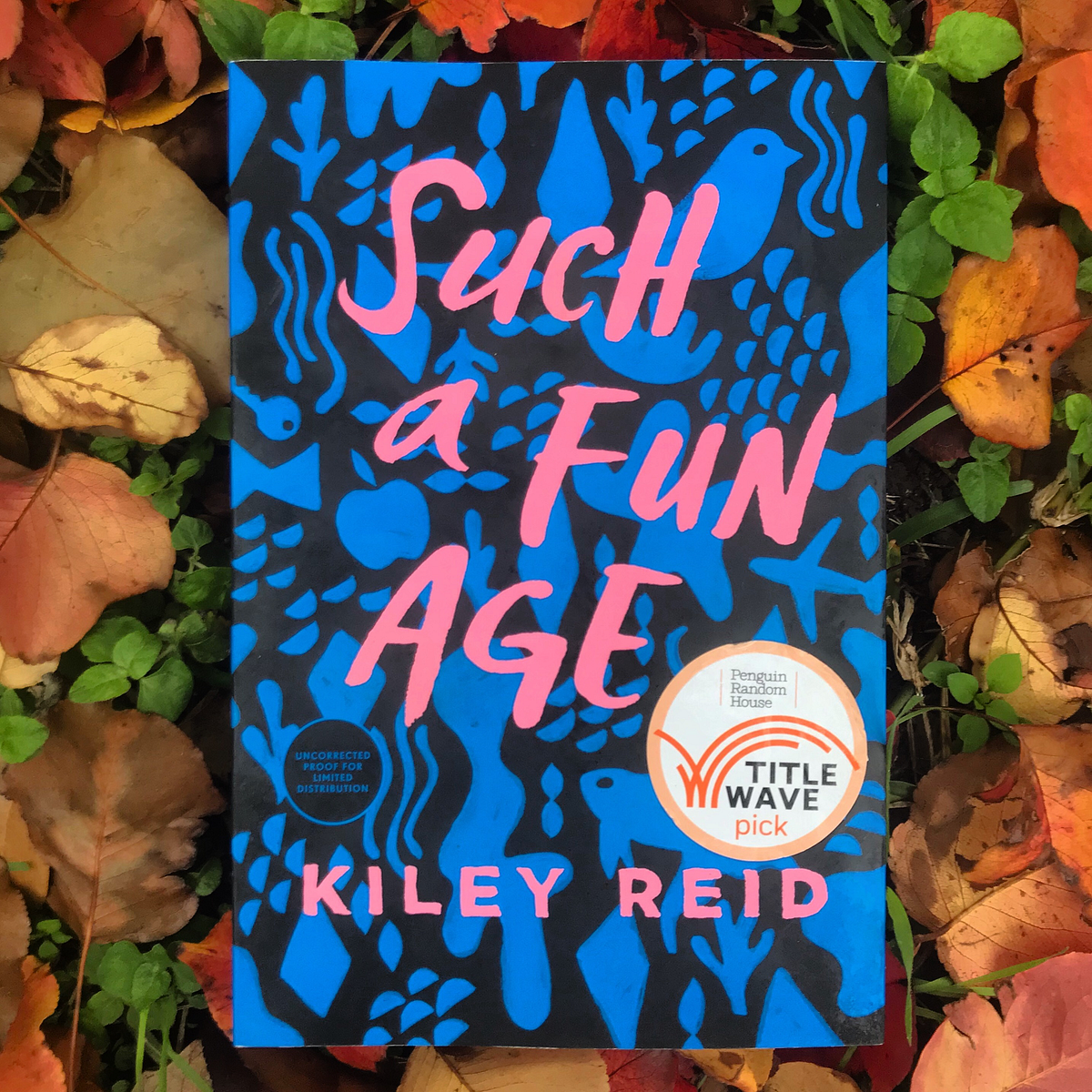 Kiley Reid’s Timely “Such a Fun Age” Subverts the White Savior ...