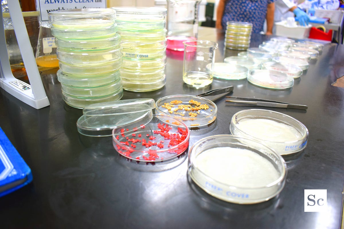 #siLab: METAS Lab. Scientia visits the METAS lab at the… | by Scientia ...