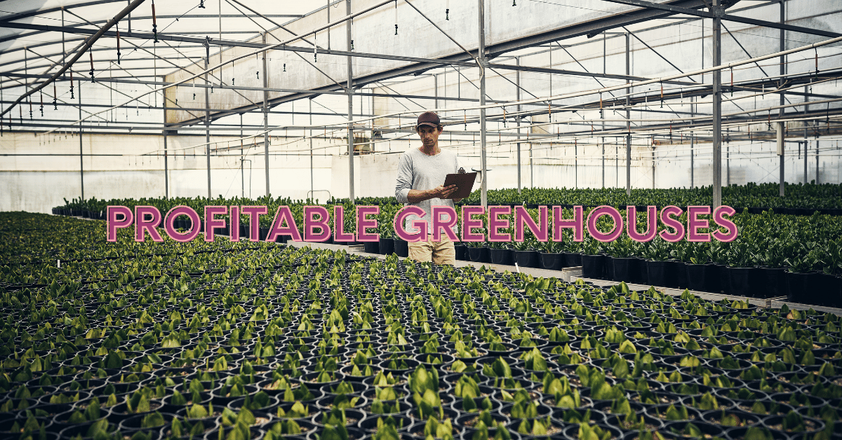 Profitable Greenhouses: The Hot Trend in Controlled Environment Farming ...