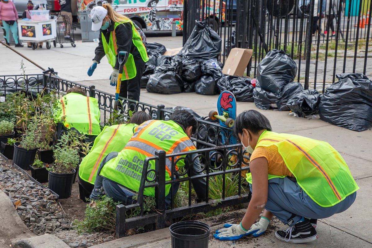 Rain Garden Cleanup. Our Green Infrastructure Maintenance… | by NYC ...