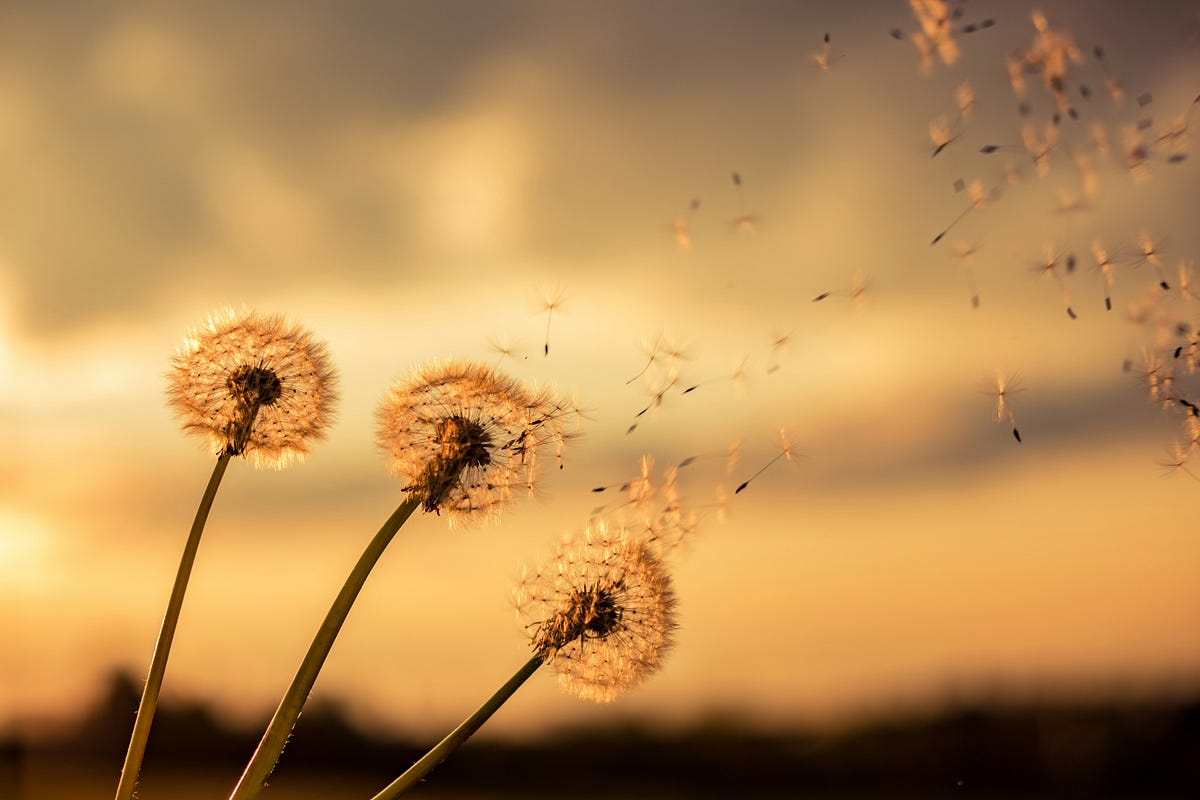 When I Stopped Holding On. Finding Peace in Letting Go and Moving… | by ...