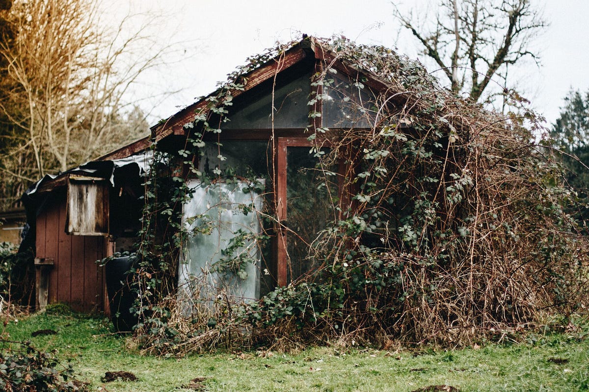 My Favorite Outdoor Environment. BlossomEarthworks.com | by Blossom ...