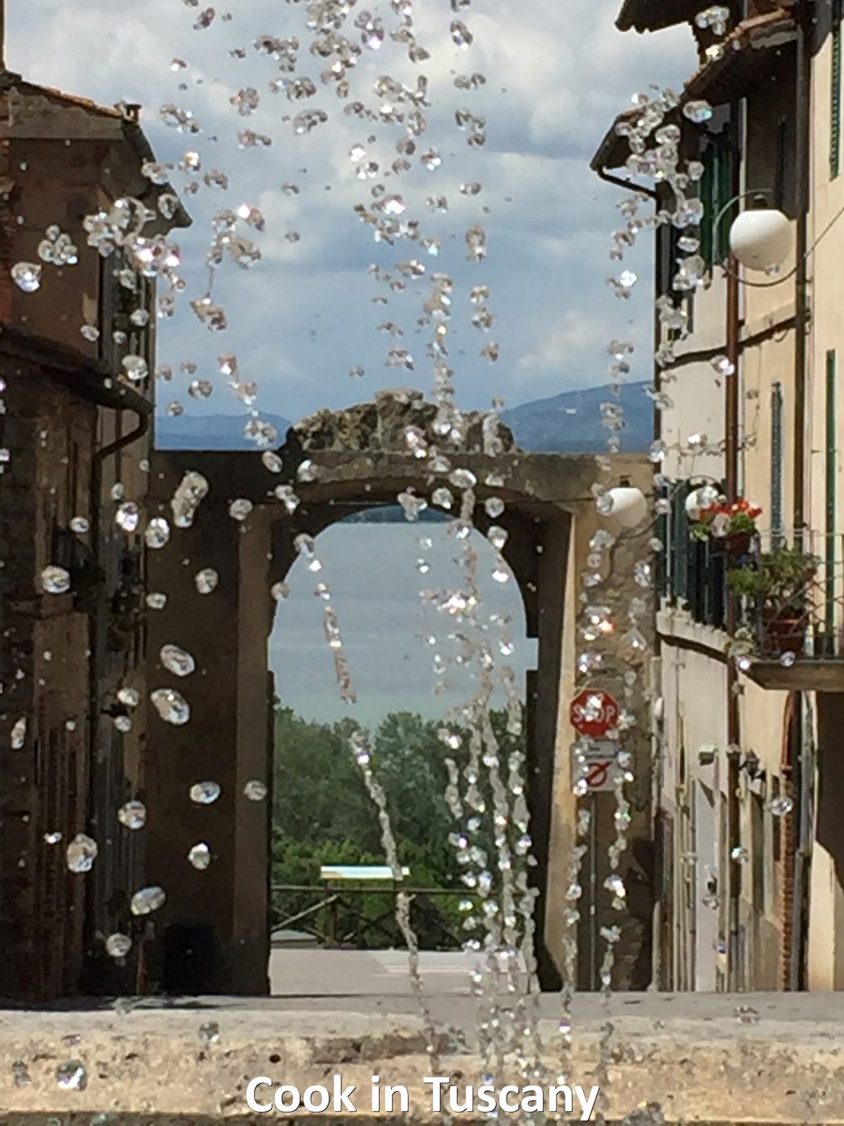 Love this photo of gate thru a fountain | by Linda Meyers | Medium