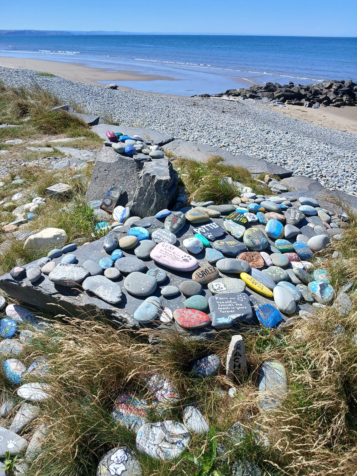 Go North Young Man.. The last month has been positive. There… | by Tim Hurrell | Jul, 2025 | Medium