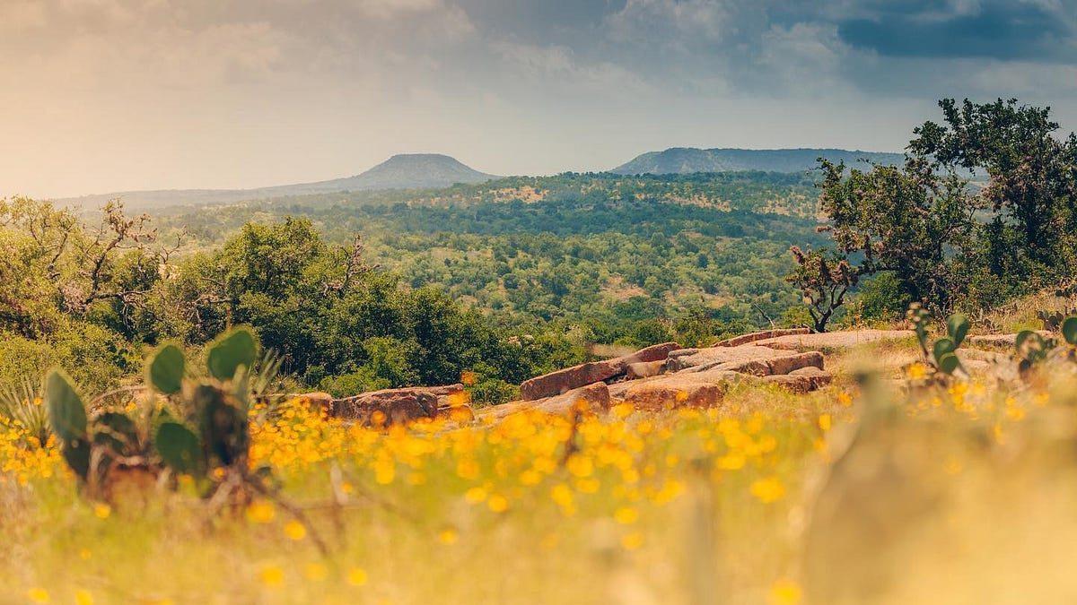 Explore Texas: 5 Scenic Road Trips With Get Drivers Ed | by Get Drivers ...