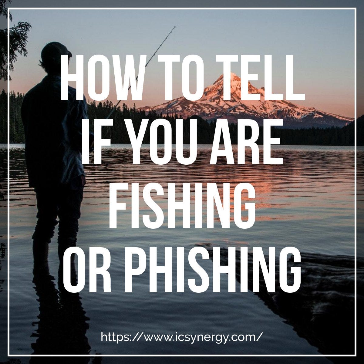 How to tell if you are Fishing or Phishing | by Mark Wilcox | Medium
