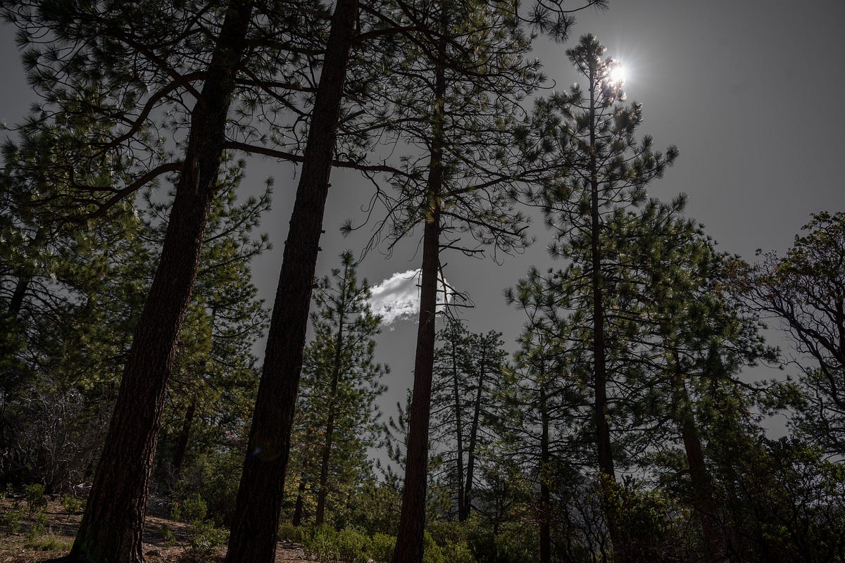 May Gray: Please Go Away. 52-week photography challenge — May… | by ...