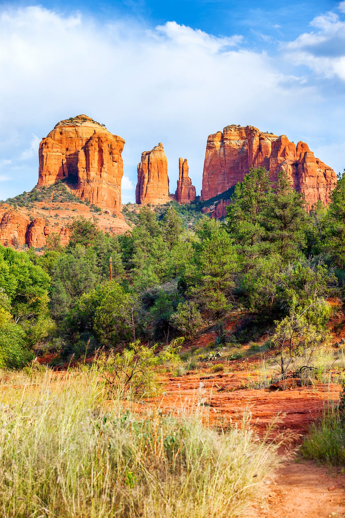 “The Secrets of Recruitment in the Southern Lands: An Exceptional ...