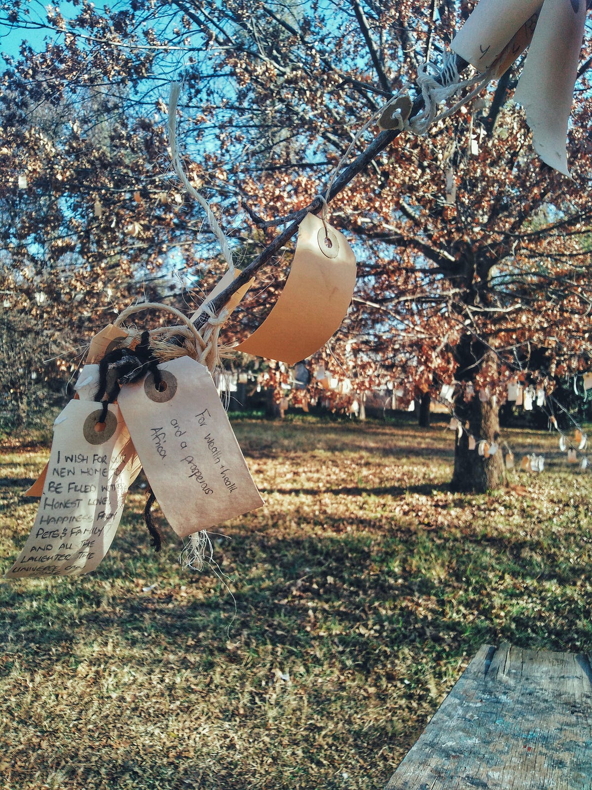Corona tree: Metaphoric tree of wishes | by Mejda Khaled | Medium