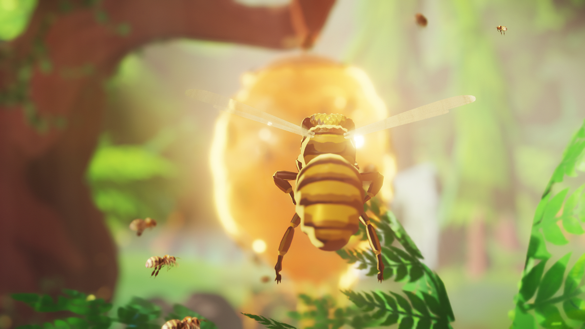 Forest Airdrop Unlock: The SEED-Based Claim Model | by Zeeverse | Medium