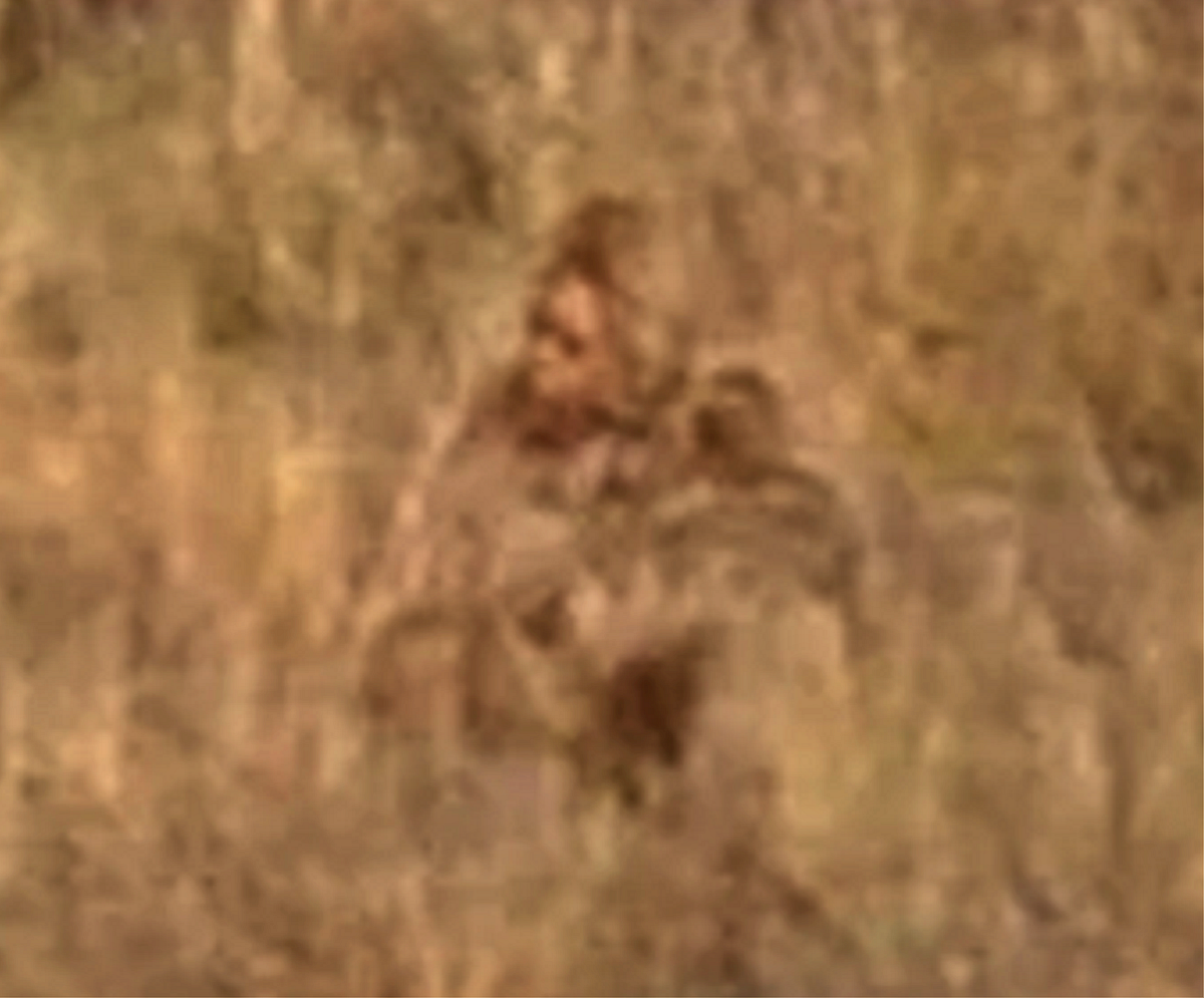 Witnesses Reportedly Spot “Bigfoot” from Train in Colorado | by ...