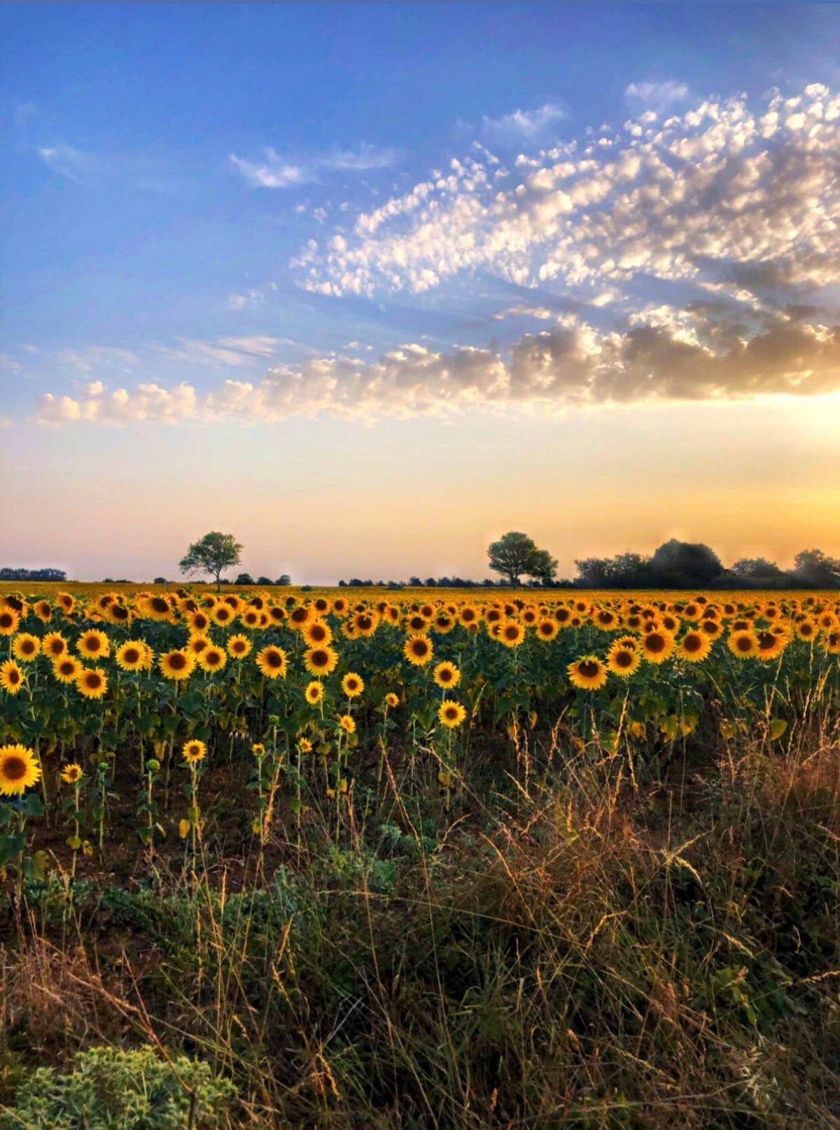 “NIGHT CANNOT WHISPER AWAY WHAT HE SAID IN THE LIGHT” | by SOUL SISTA | Medium