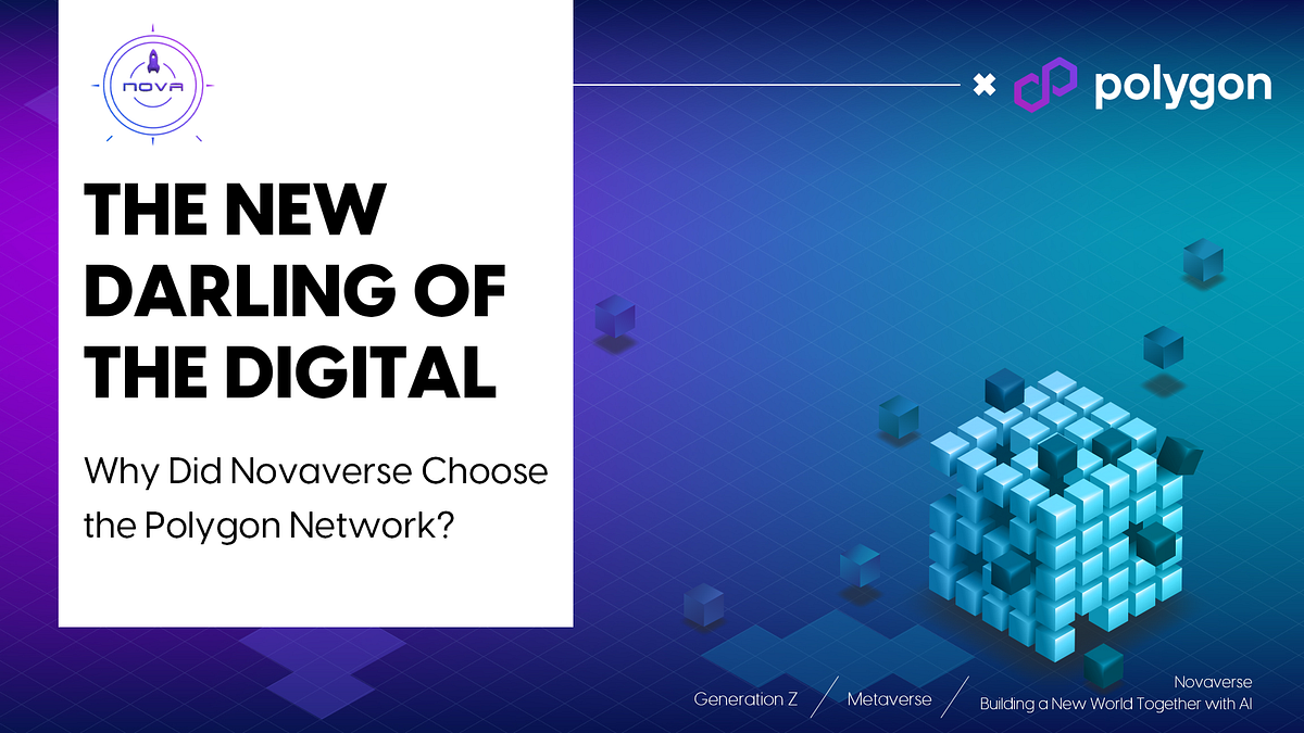 The New Darling of the Digital World: Why Did Novaverse Choose the ...
