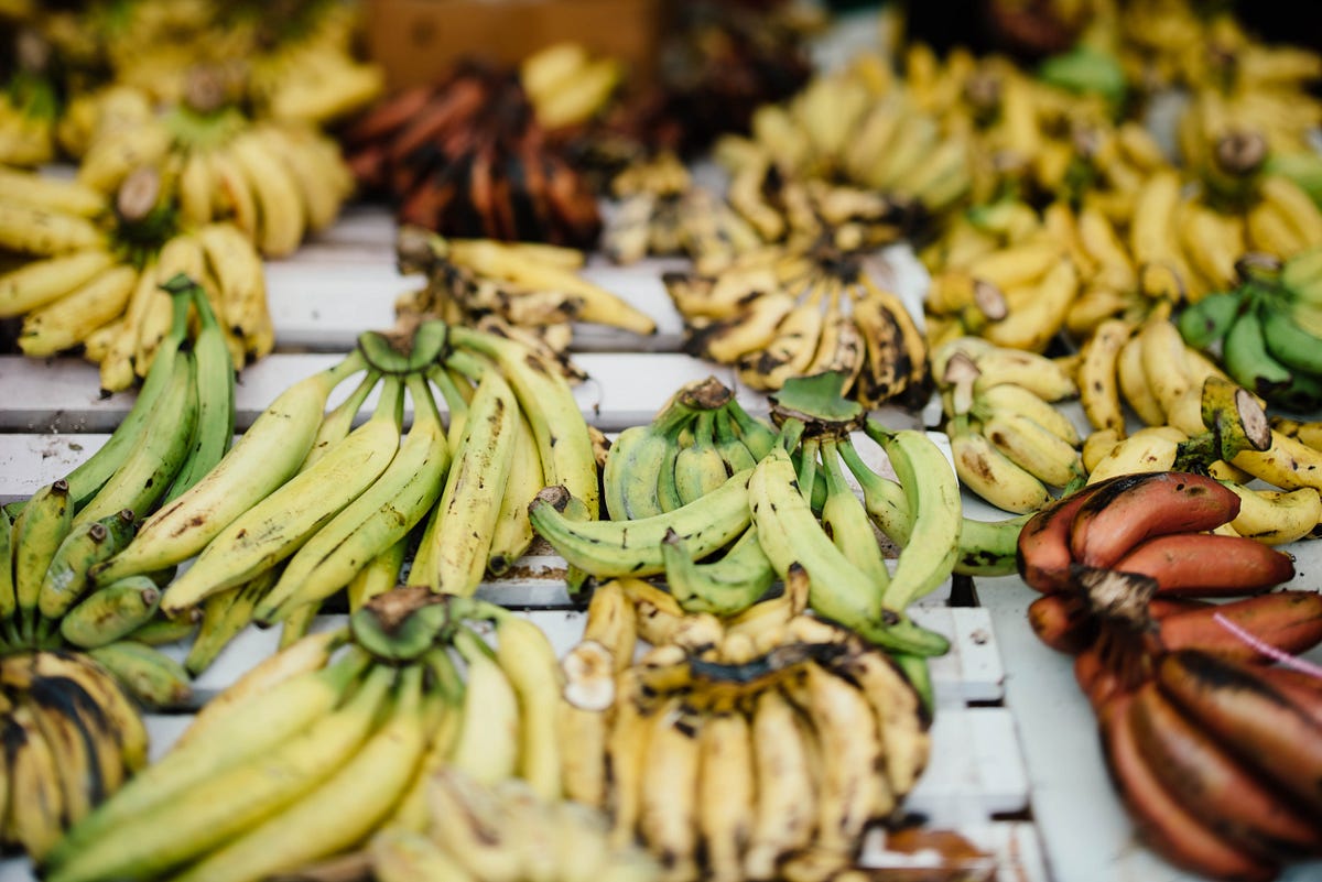 5 wonderful ways to avoid banana waste | by Natasha Wright | Fantastic ...