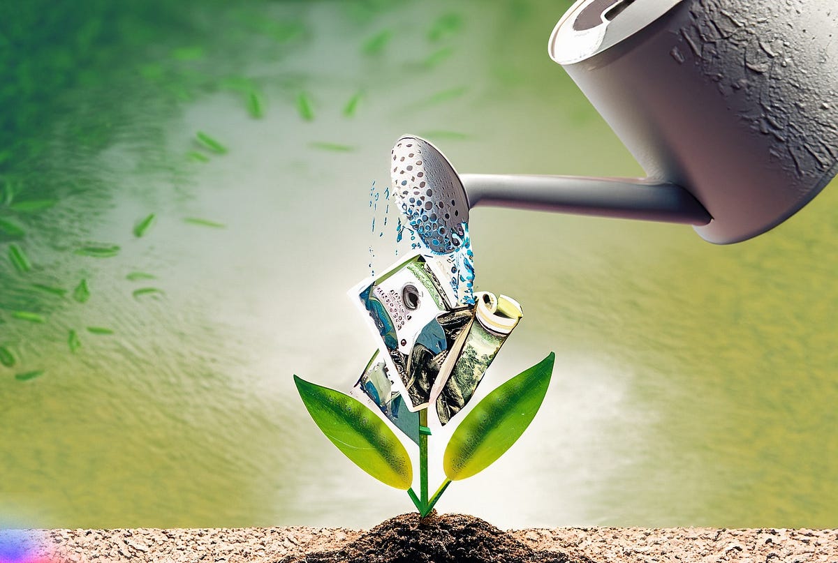Seed Extension Rounds: Why are they popular, and how do you raise one ...