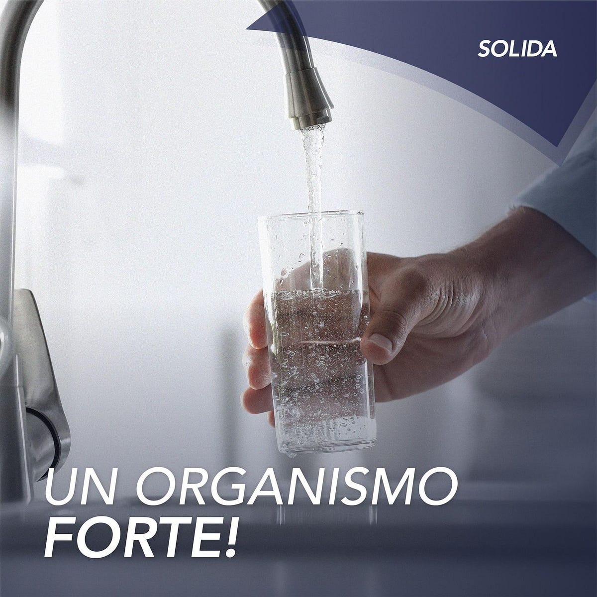 Solida Pura - Solida Company - Medium