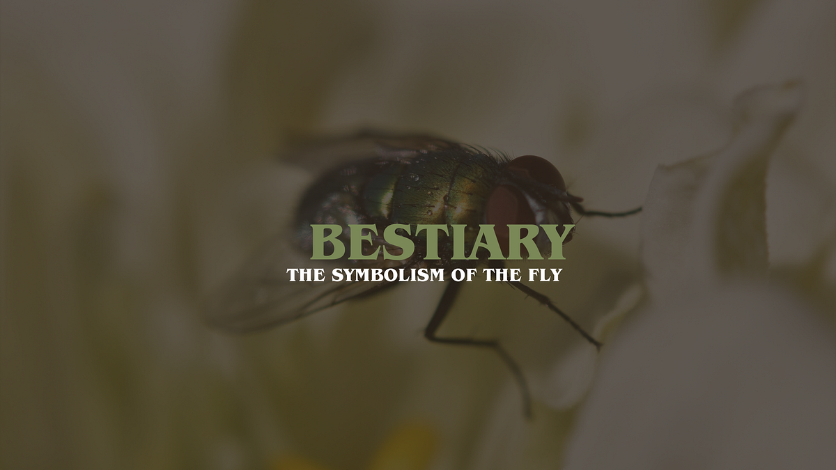 Bestiary: The Symbolism of The Fly | by The Sword & Staff | Medium
