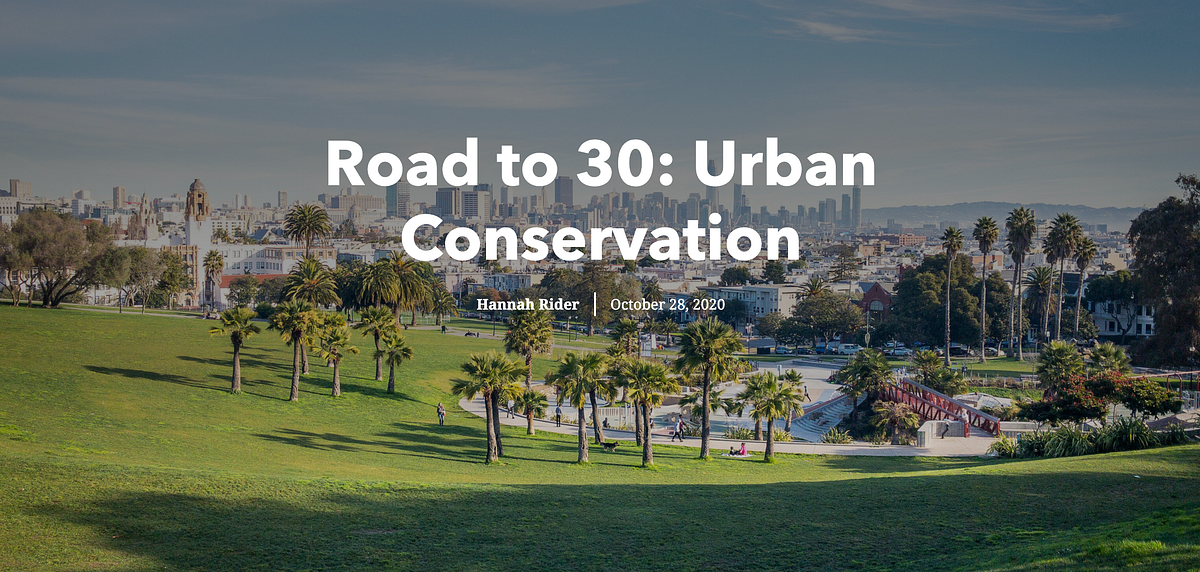 Road to 30: Urban Conservation. This story map is the sixth… | by ...