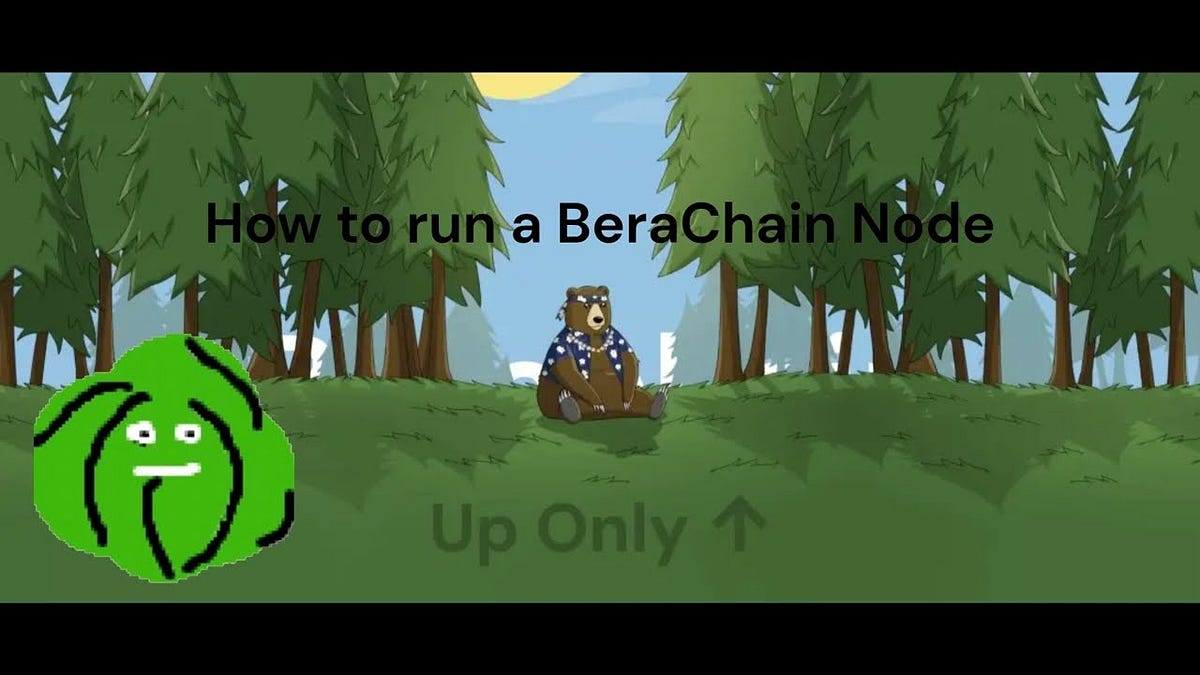 How to install and run a Berachain node detailed guide | by EasyNodes | Medium
