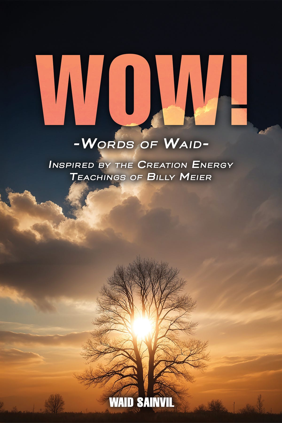 Embracing the Quest for Truth: Waid Sainvil’s Journey in “Words of Waid ...